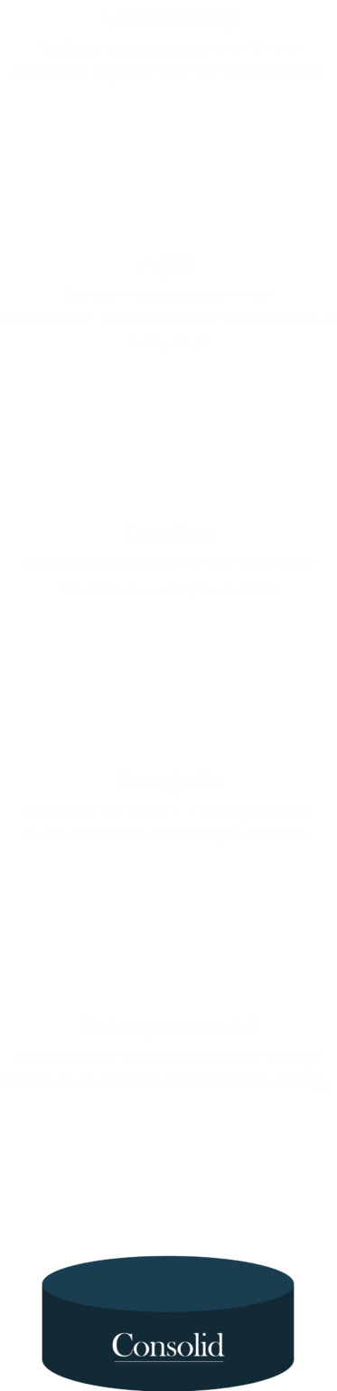 Consolid Equity - We bring professionals together