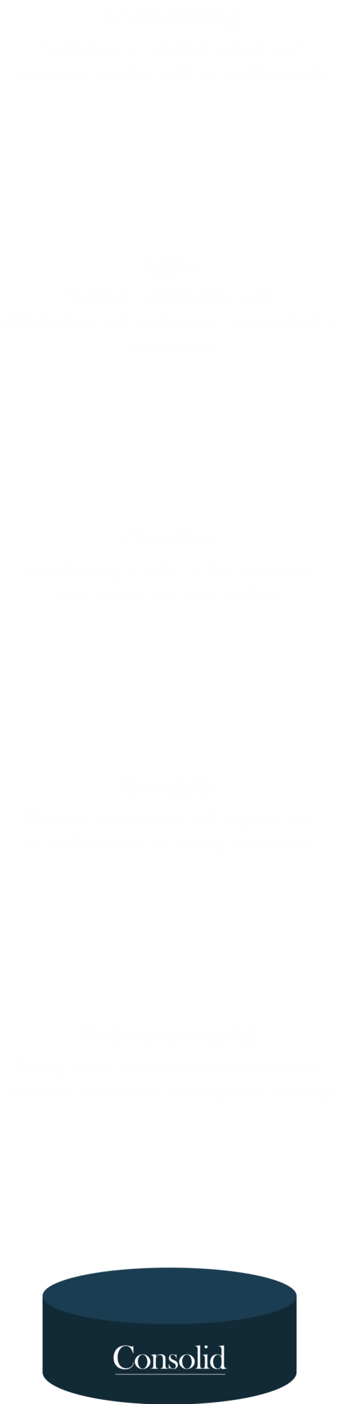 Consolid Equity - We bring professionals together