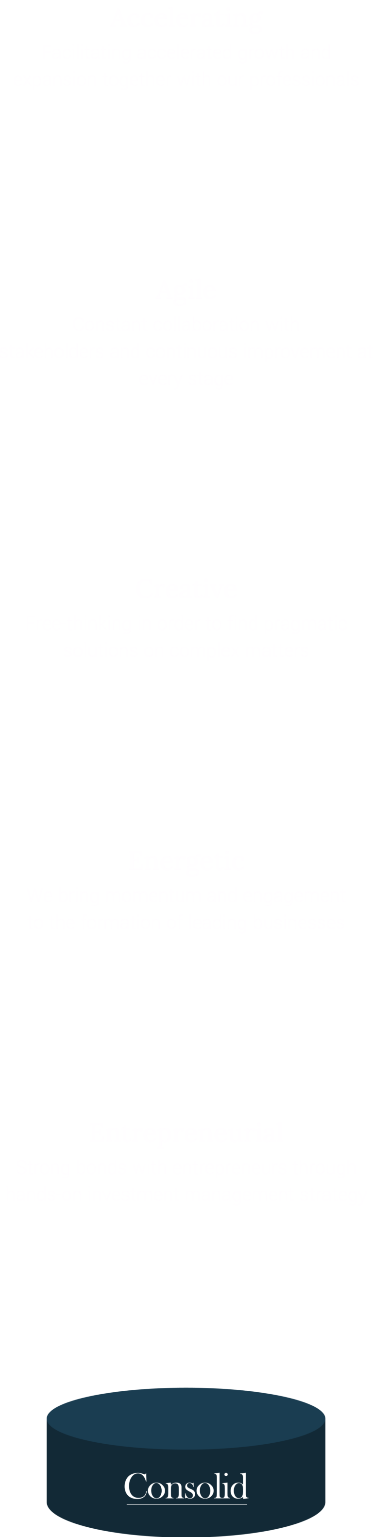 Consolid Equity - We bring professionals together